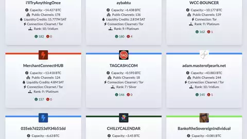 Navigating the Bitcoin Lightning Network: A beginner's node setup guide • LightningNetwork+